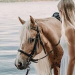 Australia: Beach Horse Ride and Lagoon Swim with Photos - Who Will Love This Tour?
