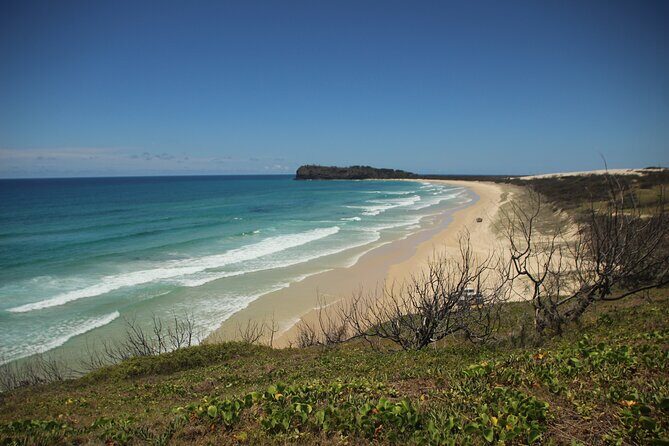 Australia: Coffs Harbour Beach Horse Ride & Lagoon Swim + Photos - What to Expect from the Beach Horse Ride