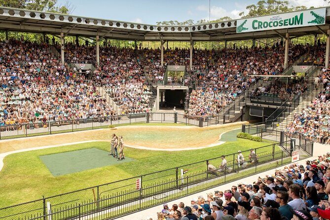 Australia Zoo Transfer from Noosa and Sunshine Coast - Guides, Commentary, and Overall Experience