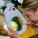 Australian Dinosaur Giants Tour - Final Thoughts