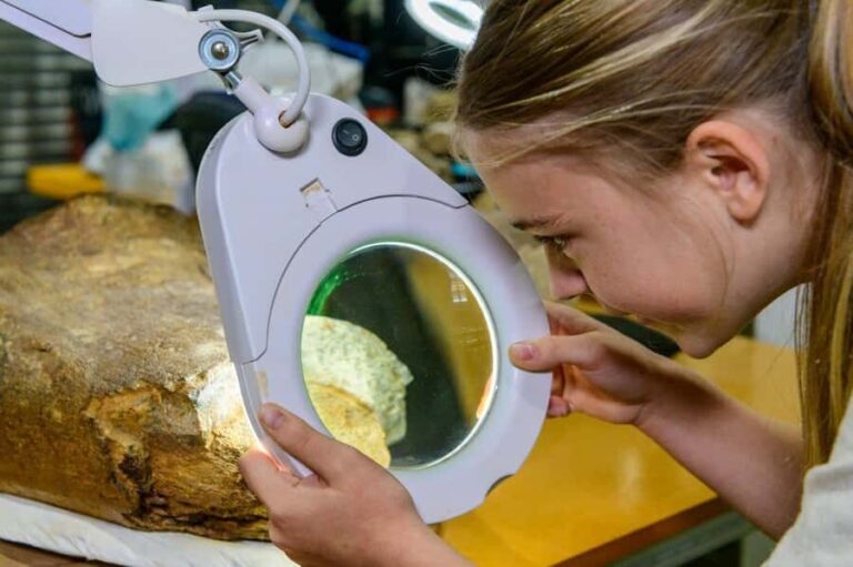 Australian Dinosaur Giants Tour - Final Thoughts