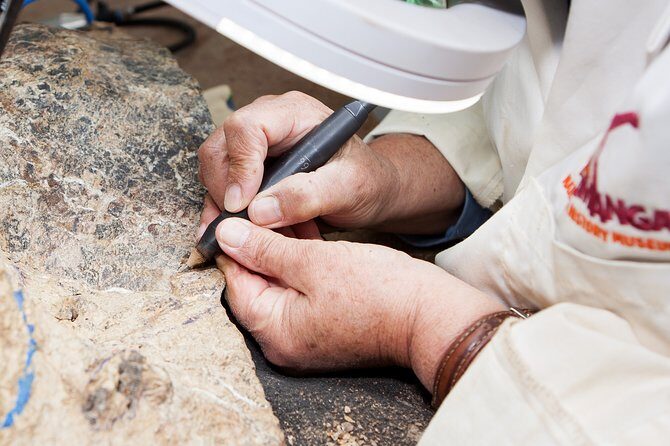 Australian Dinosaur Giants Tour - The Tour Itinerary in Detail