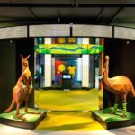 Australian Sports Museum Ticket - Detailed Breakdown of the Itinerary