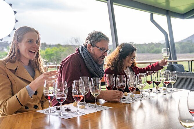 Award-Winning Hunter Valley Wine & Cheese Tour from Sydney - Practical Details and Value