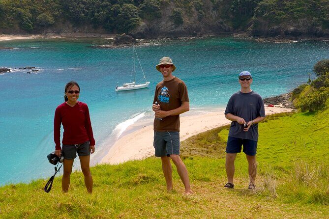 Awesome Bay of Islands Day Sailing Adventure - The Sights and Wildlife