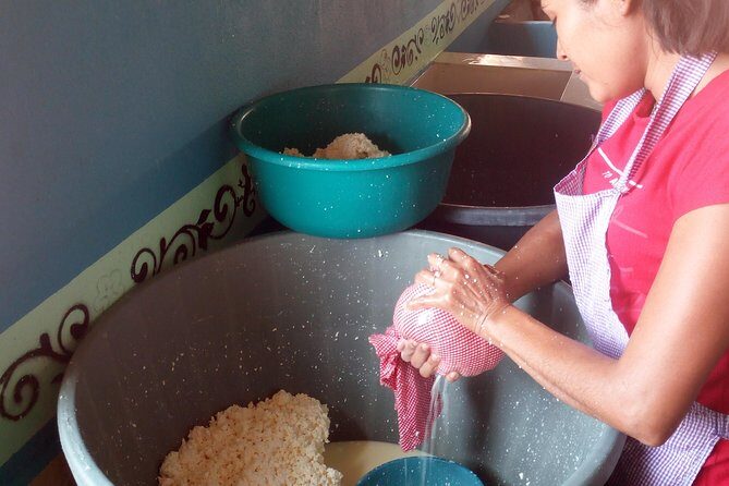 Baby sea turtles camp - Final Thoughts