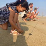 Baby Sea turtles release in Puerto Escondido - What Makes This Tour Stand Out?