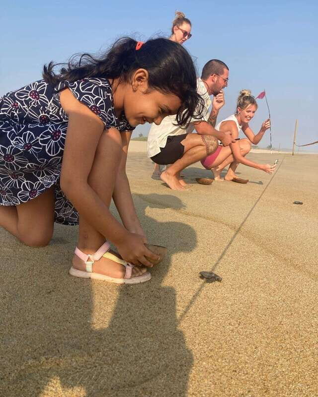 Baby Sea turtles release in Puerto Escondido - What Makes This Tour Stand Out?