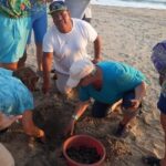 Baby Turtle Release in Coyote Escobilla Beach - Who Will Enjoy This Tour?