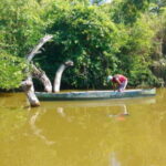 .Baby Turtle Release, Lagoon Boat Ride, and Crocodile Farm - Who Will Love This Tour?