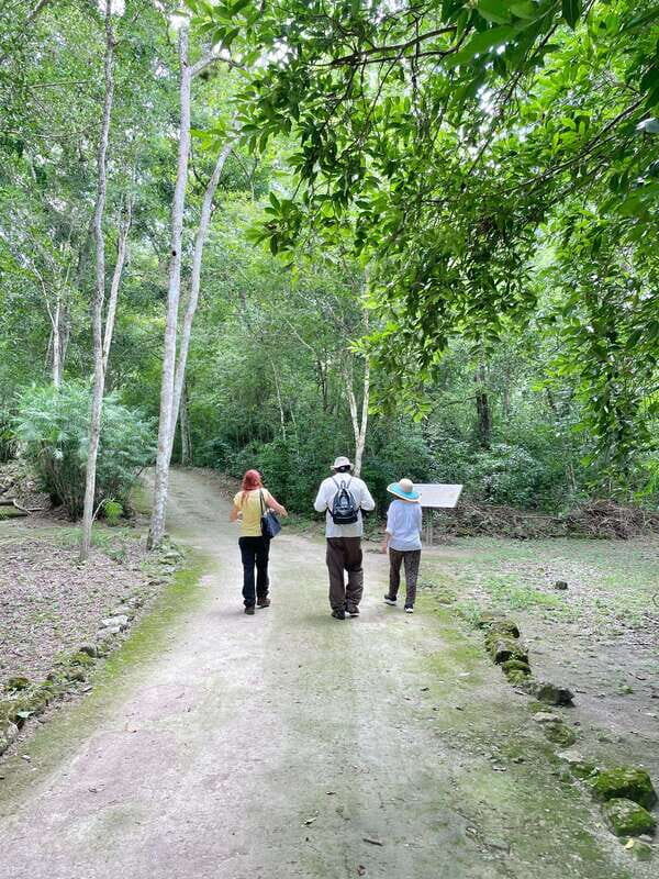 Bacalar: Calakmul daytour ruins and walk in the jungle.. - Authentic Insights from Reviews