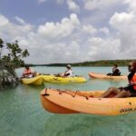 Bacalar Lagoon! Kayaks & Cenote Azul From Playa Del Carmen - The Practicalities & Experience Tips