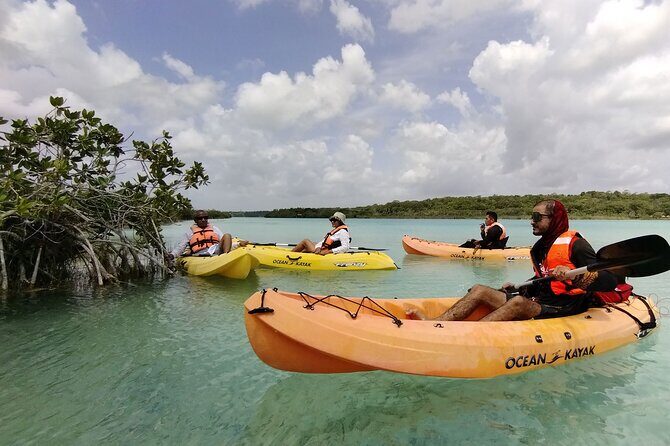 Bacalar Lagoon! Kayaks & Cenote Azul From Playa Del Carmen - The Practicalities & Experience Tips