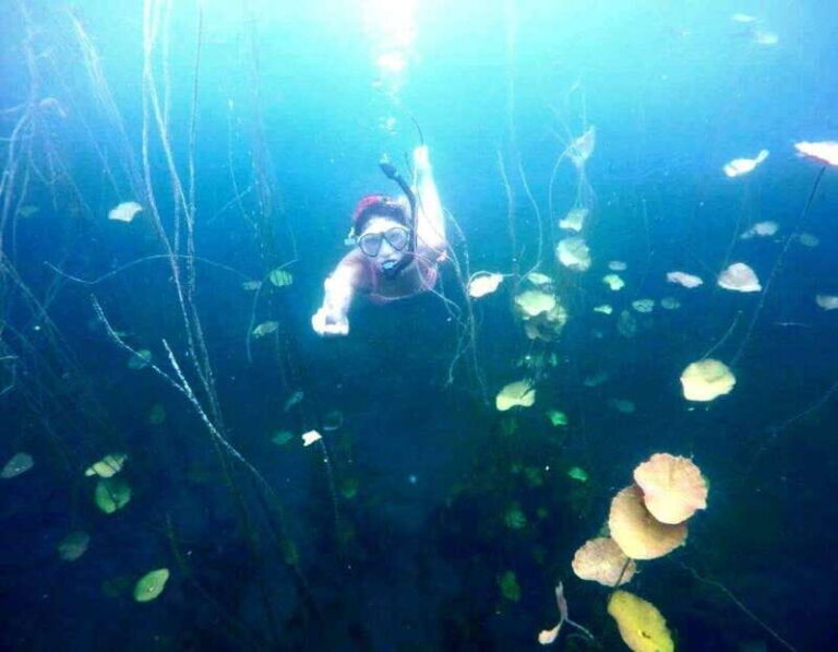 Bacalar: Magnificent Bacalar Lagoon Exclusive Boat Tour - Who Will Enjoy This Tour?