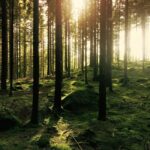 Bainbridge Island Discovery and Whiskey Tour - Who Will Love This Tour?