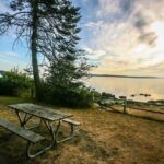 Bainbridge Island Discovery Tour - Authentic Experiences and Local Insights