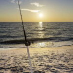 Baja: Adventure Shore Fishing - Explore La Ventana on ATV - Final Thoughts: Is this tour worth it?