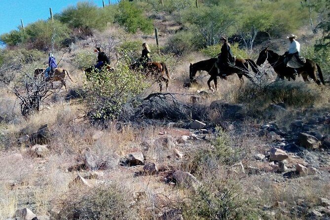 Baja Desert Horseback Riding Tour - Final Thoughts