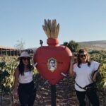 Baja Tour Guide wine tour - A Closer Look at the Itinerary and Experience