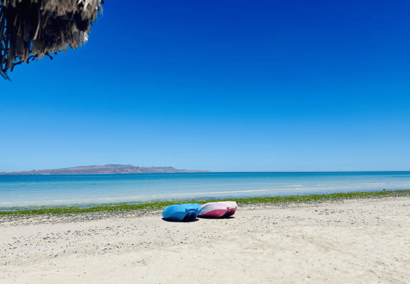 Balandra and Tecolote Beaches Day Trip with Lunch - What Makes This Tour Stand Out?