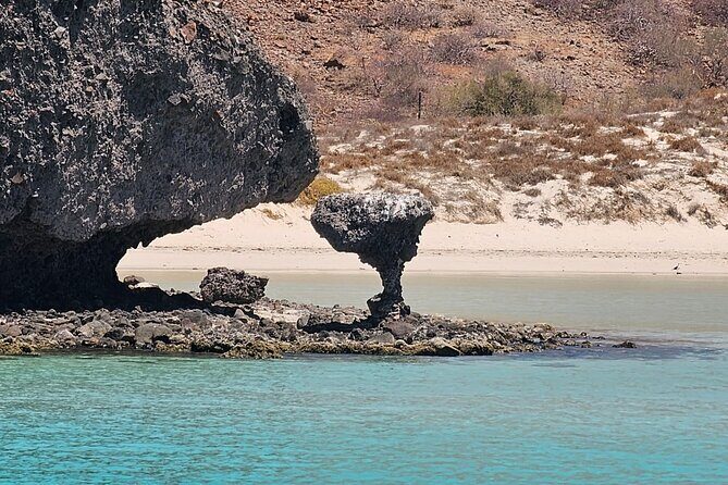 Balandra Bay Private Snorkeling and Sea Lions - The Itinerary Breakdown