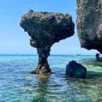 Balandra Bay Snorkeling Adventure - The Experience from the Guides and Reviews