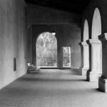 Balboa Park Private Photography Session in San Diego California - The Experience: What Travelers Can Expect