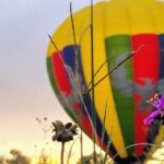 Balloon Flight with Breakfast and Transportation in Teotihuacan - Analyzing the Value: What’s Included and What It Means for You