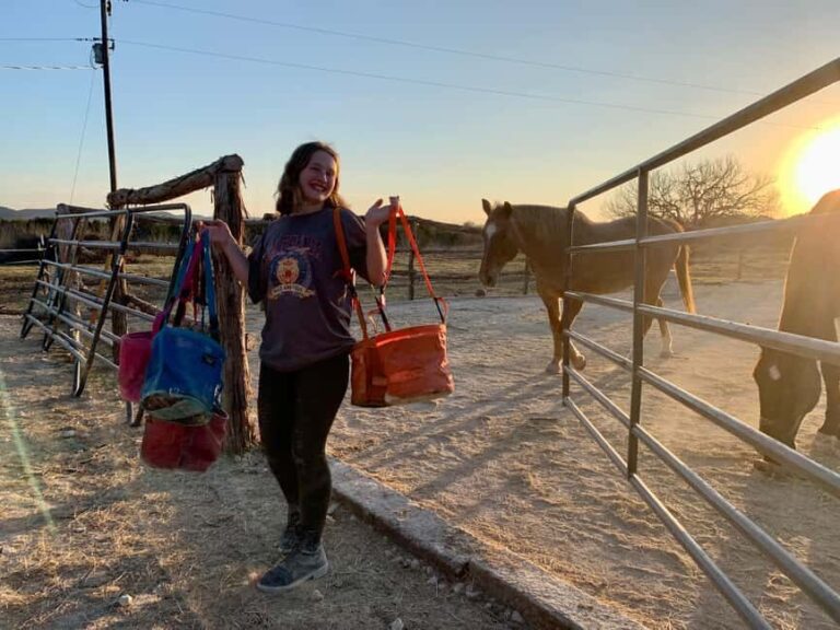 Bandera: Ranch Visit with Longhorns and Horses - The Itinerary: What to Expect