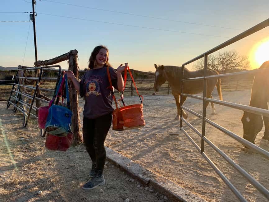 Bandera: Ranch Visit with Longhorns and Horses - The Itinerary: What to Expect