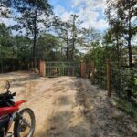 Banderas Jeep Tour - Authenticity and Unique Touches