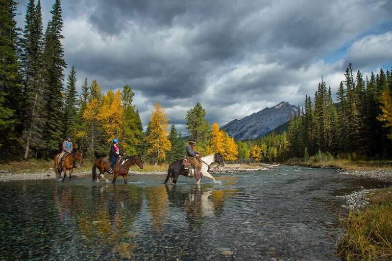 Banff: 4-Hour Sulphur Mountain Intermediate Horseback Ride - Wildlife and Natural Encounters