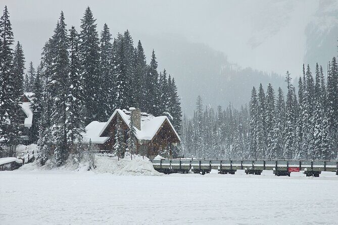 Banff and Yoho Winter Wonderland Private Tour - What We Love About This Tour
