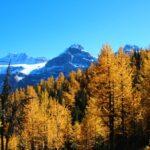 Banff/Canmore: Larch Valley & Moraine Lake - The Experience on the Ground