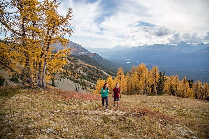 Banff Canmore Private Adventure Moraine Lake and Lake Louise Tour - The Practicalities