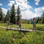 Banff: Edible and Medicinal Plants Nature Walk - How the Tour is Structured