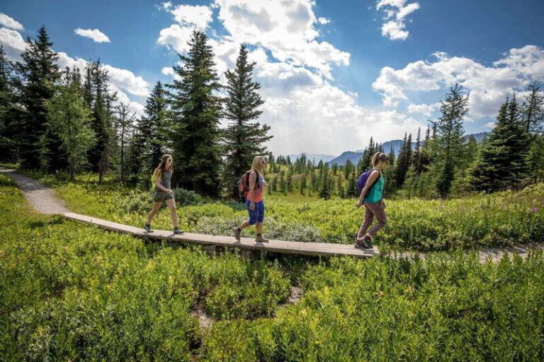 Banff: Edible and Medicinal Plants Nature Walk - How the Tour is Structured