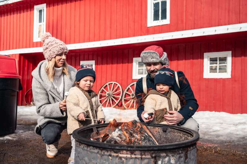 Banff: Family Friendly Horse-Drawn Sleigh Ride - What to Expect on the Tour