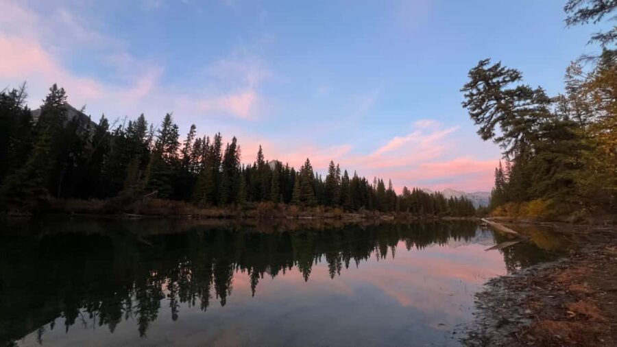 Banff: Grizzly Bear & Nature Walk & Hidden Gem Sunset Tour - Who Will Love This Tour?
