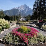 BANFF Medicinal and Edible Plants Nature Walk - 2 Hours - The Value of This Experience