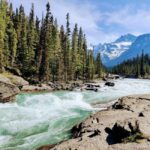 Banff: Moraine Lake, Lake Louise, Emerald Lake and Yoho Trip - What Travelers Love Most (Based on Reviews)