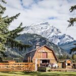 Banff National Park: 1-Hour Bow River Horseback Ride - What to Expect on Your Horseback Ride