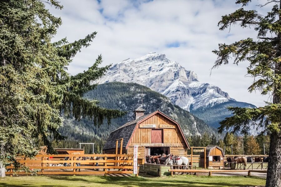 Banff National Park: 1-Hour Bow River Horseback Ride - What to Expect on Your Horseback Ride