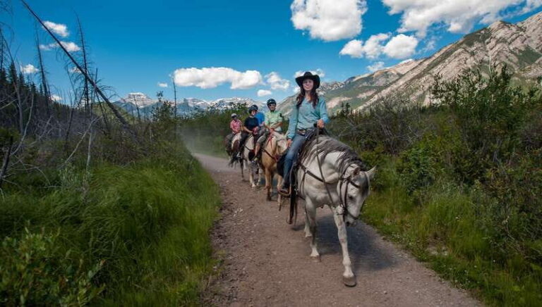 Banff National Park: 2-Hour Sundance Loop Horseback Ride - Practical Details and Value