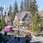 Banff National Park Group Bus Tour Experience - Authentic Insights from Reviews