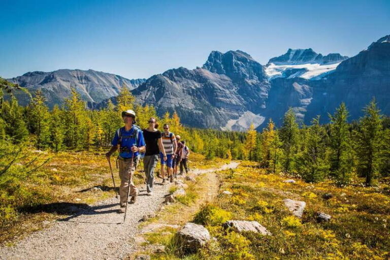 Banff National Park: Guided Signature Hikes with Lunch - The Experience of the Day: What Sets It Apart