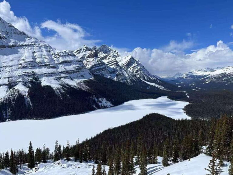 Banff National Park: Lake Louise & Upper Hot Springs Tour - Lake Louise: A Prism of Natural Beauty