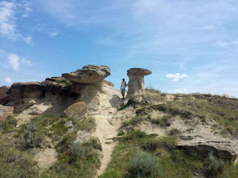 Banff: Private Badlands Tour with Royal Tyrrell Museum - Who Will Love This Tour?