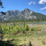 Banff PRIVATE Guided Nature Walk + Transportation - 2.5H - The Value of a Private Guided Walk