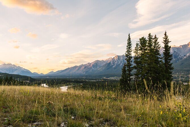 Banff PRIVATE Safari Drive and Custom Nature Walk -4H - Authentic Experiences from Past Travelers